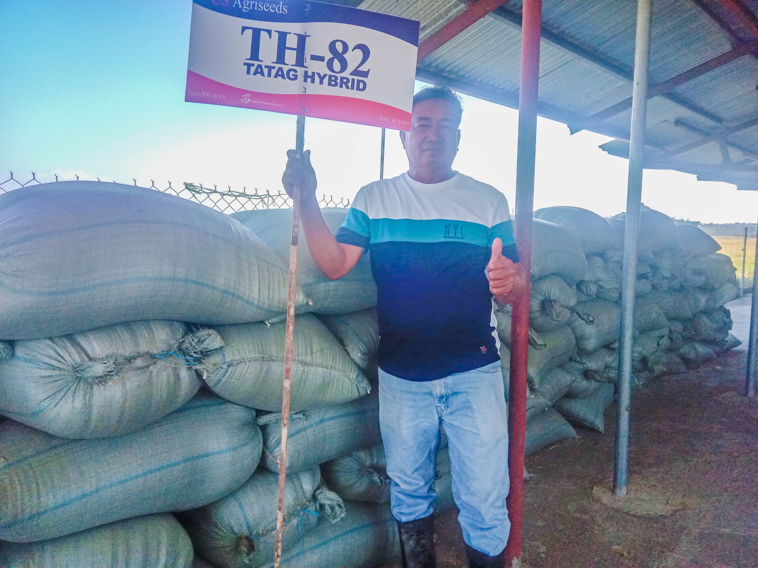SeedWorks Philippines’ TH-82 Hybrid Rice Variety Leads the 15th NRTF ...